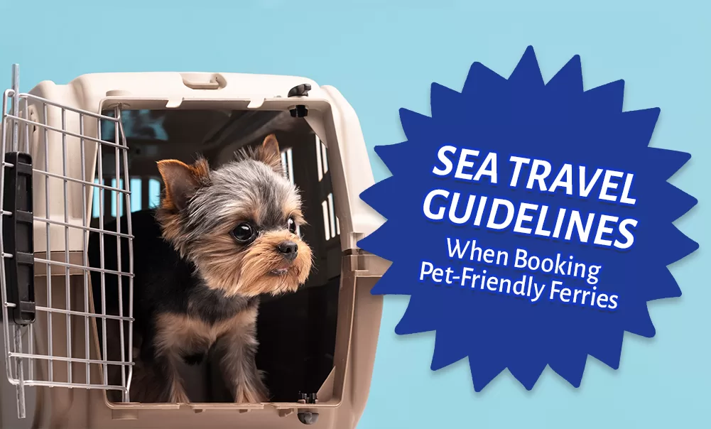 Sea Travel Guidelines When Booking Pet-Friendly Ferries - Trans-Asia ...